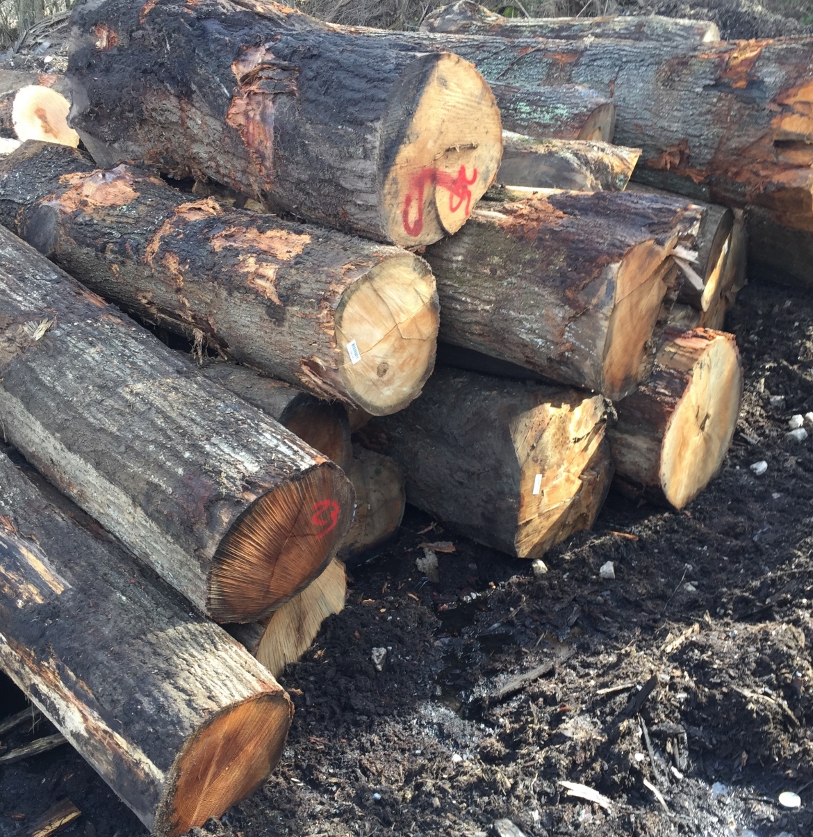 New River Hardwoods - products