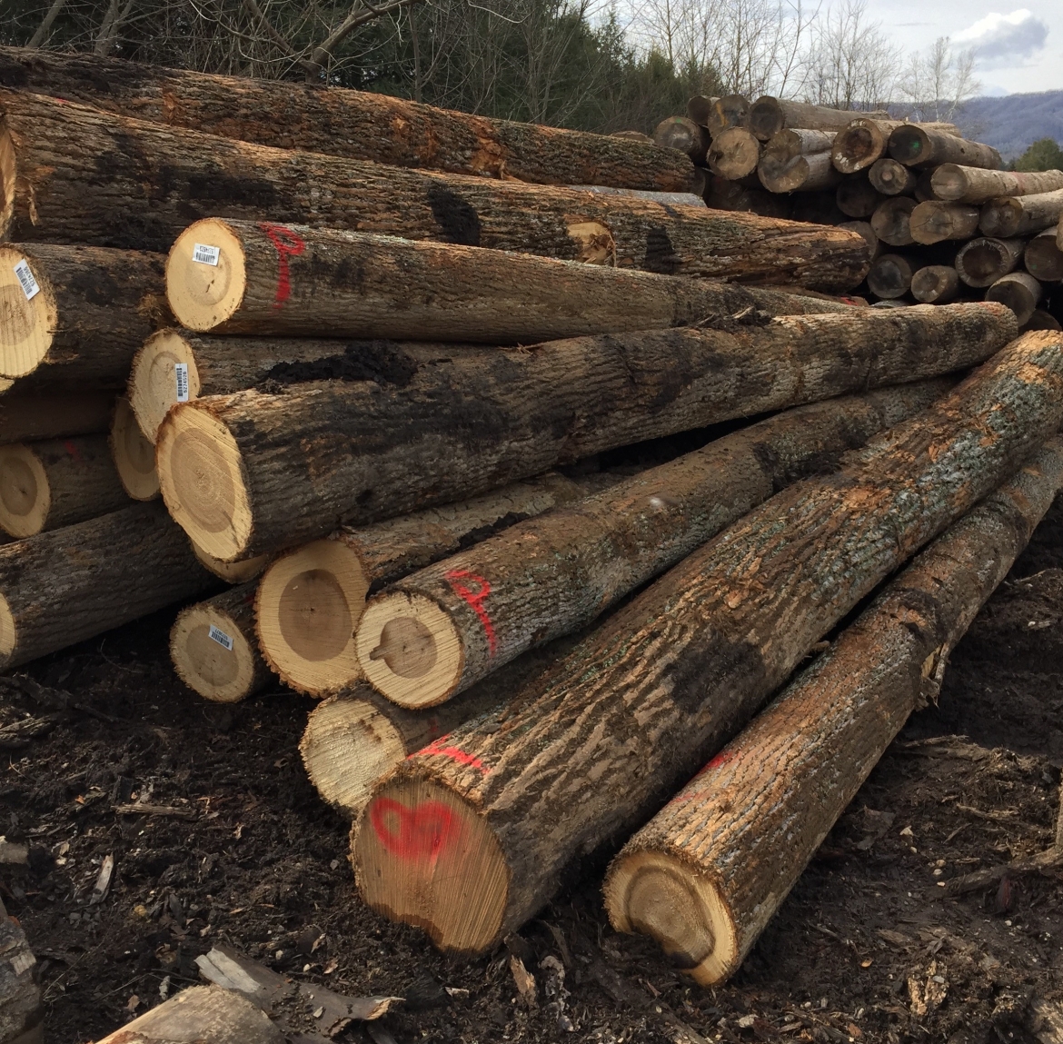 New River Hardwoods - products